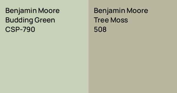 Benjamin Moore Budding Green vs. Benjamin Moore Tree Moss comparison