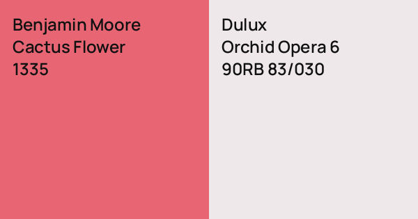 Benjamin Moore Cactus Flower vs. Dulux Orchid Opera 6 comparison