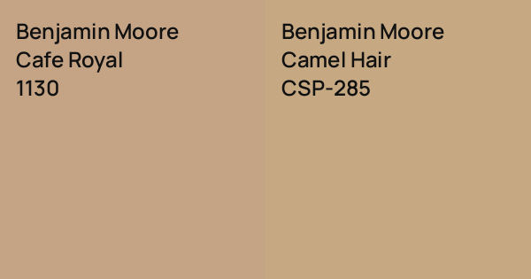 Benjamin Moore Cafe Royal vs. Benjamin Moore Camel Hair comparison