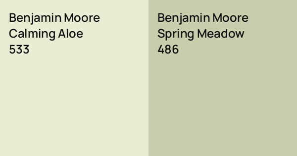 Benjamin Moore Calming Aloe vs. Benjamin Moore Spring Meadow comparison