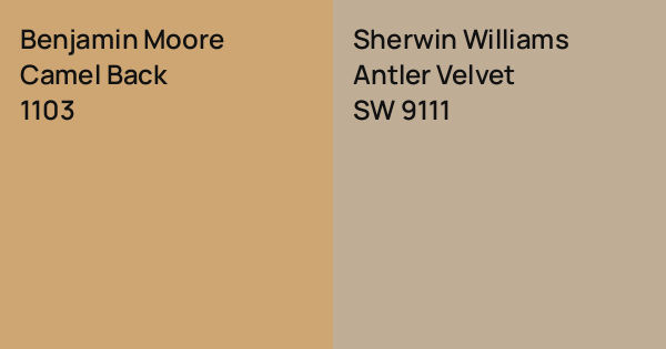 Benjamin Moore Camel Back vs. Sherwin Williams Antler Velvet comparison