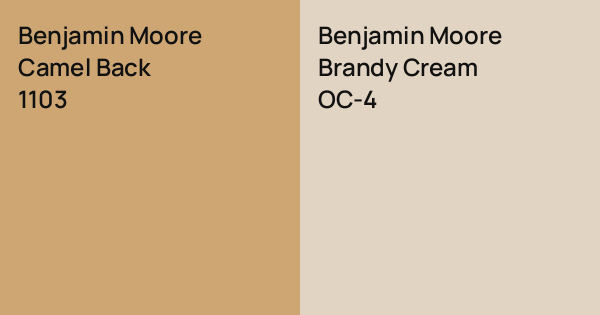 Benjamin Moore Camel Back vs. Benjamin Moore Brandy Cream comparison