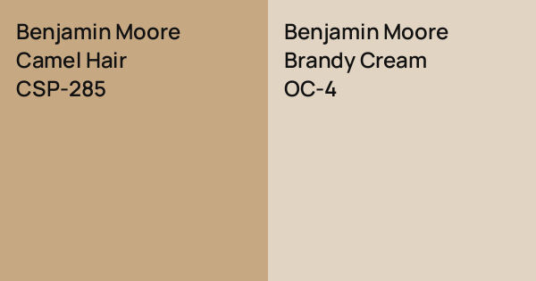Benjamin Moore Camel Hair vs. Benjamin Moore Brandy Cream comparison