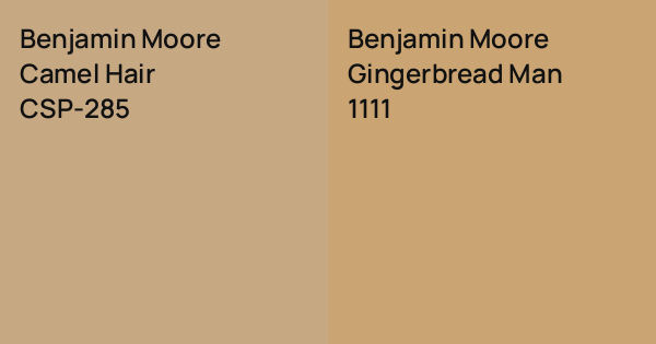Benjamin Moore Camel Hair vs. Benjamin Moore Gingerbread Man comparison