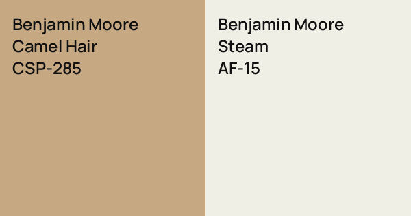 Benjamin Moore Camel Hair vs. Benjamin Moore Steam comparison