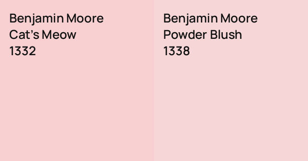 Benjamin Moore Cat's Meow vs. Benjamin Moore Powder Blush comparison