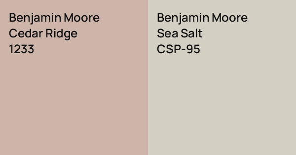 Benjamin Moore Cedar Ridge vs. Benjamin Moore Sea Salt comparison