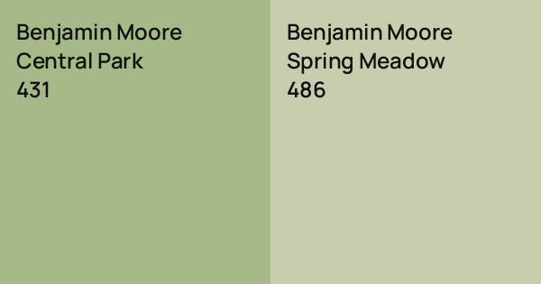 Benjamin Moore Central Park vs. Benjamin Moore Spring Meadow comparison