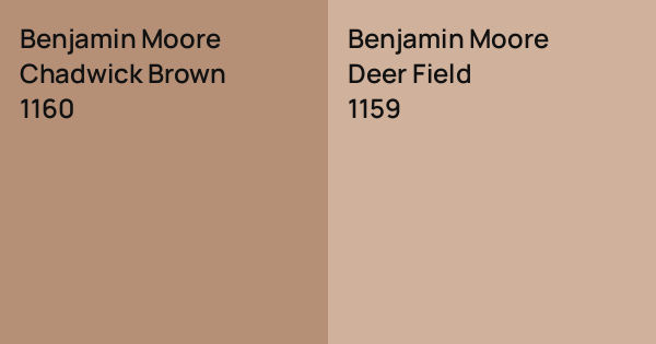 Benjamin Moore Chadwick Brown vs. Benjamin Moore Deer Field comparison
