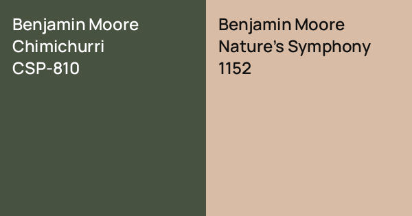 Benjamin Moore Chimichurri vs. Benjamin Moore Nature's Symphony comparison