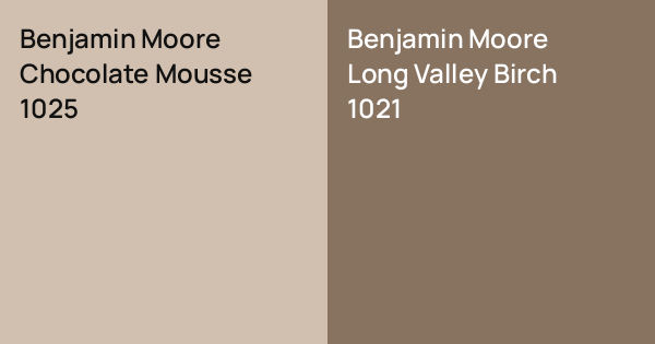 Benjamin Moore Chocolate Mousse vs. Benjamin Moore Long Valley Birch ...