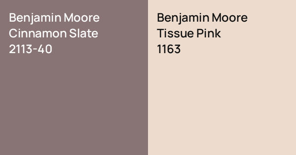 Benjamin Moore Cinnamon Slate vs. Benjamin Moore Tissue Pink comparison