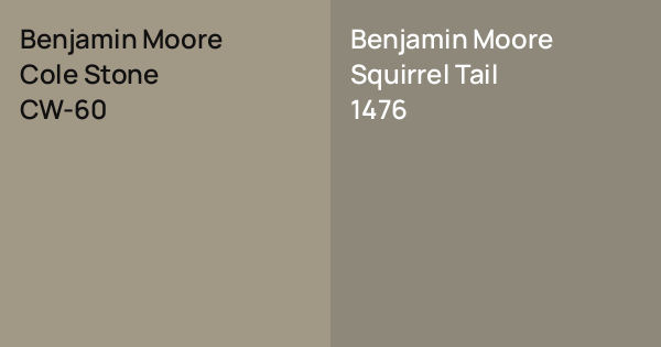 Benjamin Moore Cole Stone vs. Benjamin Moore Squirrel Tail comparison