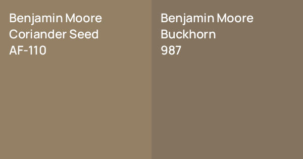 Benjamin Moore Coriander Seed vs. Benjamin Moore Buckhorn comparison