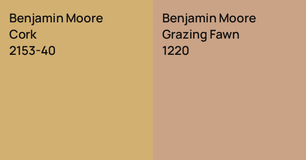 Benjamin Moore Cork vs. Benjamin Moore Grazing Fawn comparison