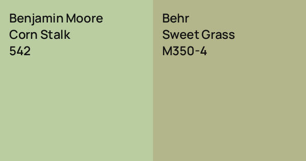 Benjamin Moore Corn Stalk vs. Behr Sweet Grass comparison
