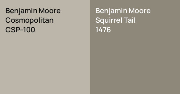 Benjamin Moore Cosmopolitan vs. Benjamin Moore Squirrel Tail comparison