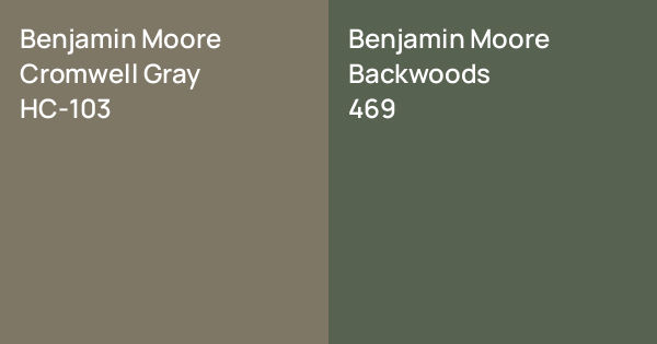Benjamin Moore Cromwell Gray vs. Benjamin Moore Backwoods comparison