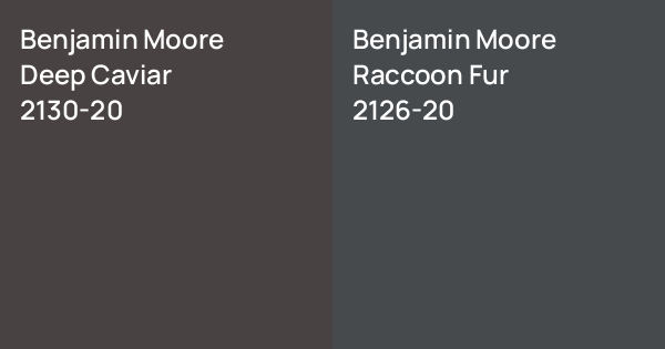 Benjamin Moore Deep Caviar vs. Benjamin Moore Raccoon Fur comparison