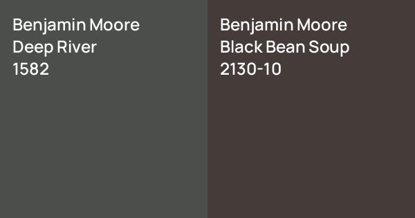 Benjamin Moore Black Bean Soupnull