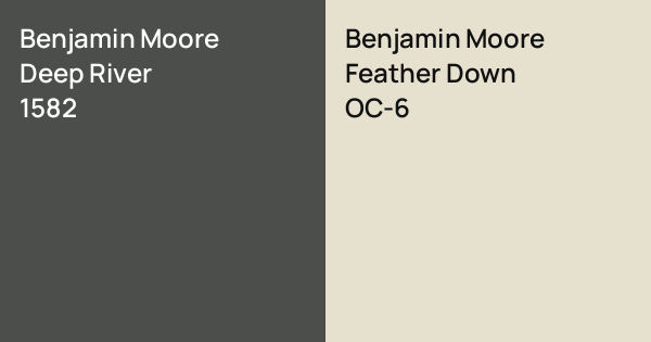 Benjamin Moore Deep River vs. Benjamin Moore Feather Down comparison
