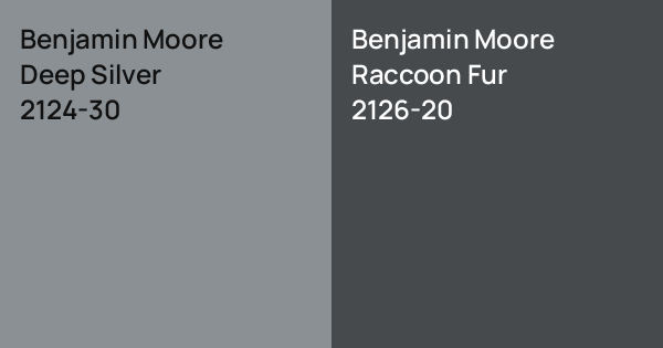 Benjamin Moore Deep Silver vs. Benjamin Moore Raccoon Fur comparison