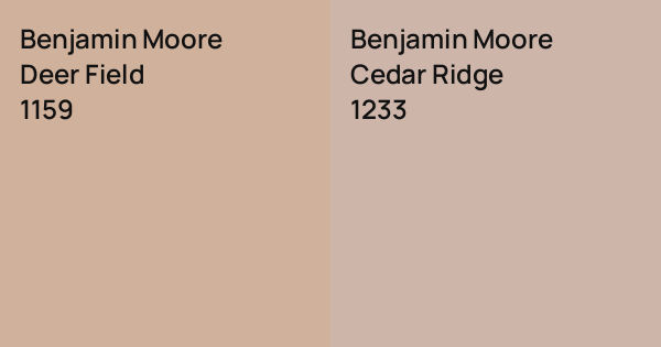 Benjamin Moore Deer Field vs. Benjamin Moore Cedar Ridge comparison