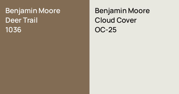 Benjamin Moore Deer Trail vs. Benjamin Moore Cloud Cover comparison