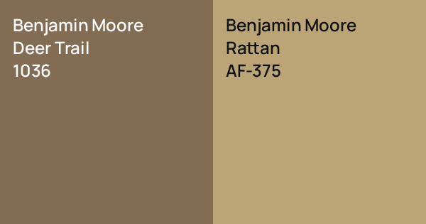 Benjamin Moore Deer Trail vs. Benjamin Moore Rattan comparison