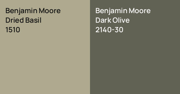 Benjamin Moore Dried Basil vs. Benjamin Moore Dark Olive comparison