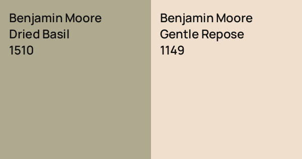 Benjamin Moore Dried Basil vs. Benjamin Moore Gentle Repose comparison