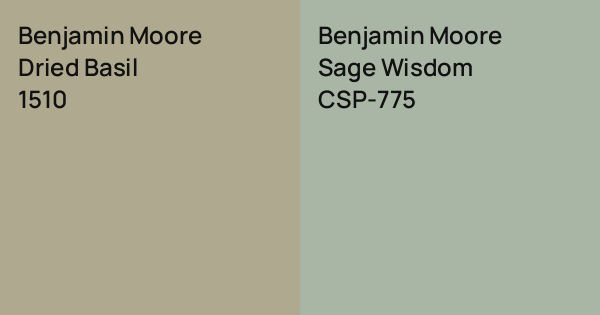 Benjamin Moore Dried Basil vs. Benjamin Moore Sage Wisdom comparison