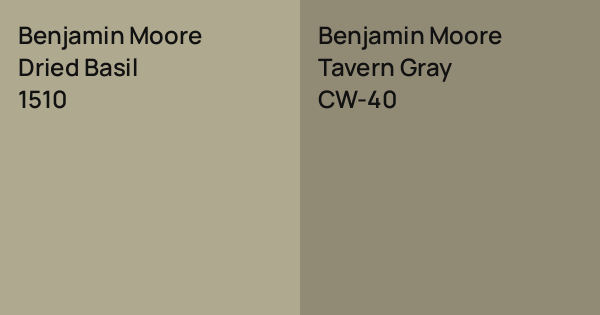 Benjamin Moore Dried Basil vs. Benjamin Moore Tavern Gray comparison