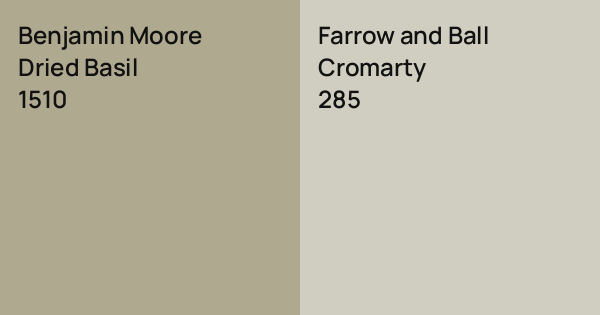 Benjamin Moore Dried Basil vs. Farrow and Ball Cromarty comparison
