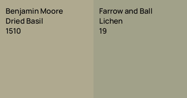 Benjamin Moore Dried Basil vs. Farrow and Ball Lichen comparison