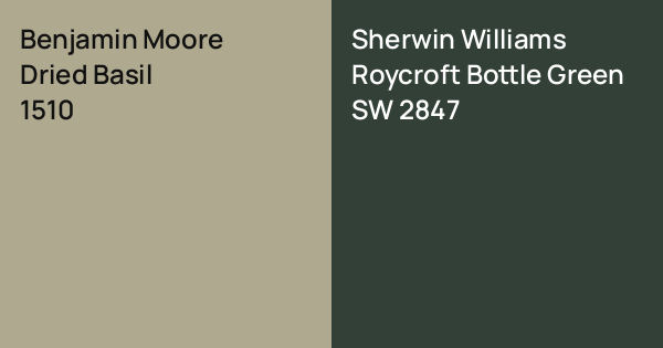Benjamin Moore Dried Basil vs. Sherwin Williams Roycroft Bottle Green comparison