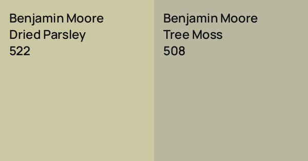 Benjamin Moore Dried Parsley vs. Benjamin Moore Tree Moss comparison
