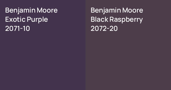 Benjamin Moore Exotic Purple vs. Benjamin Moore Black Raspberry comparison