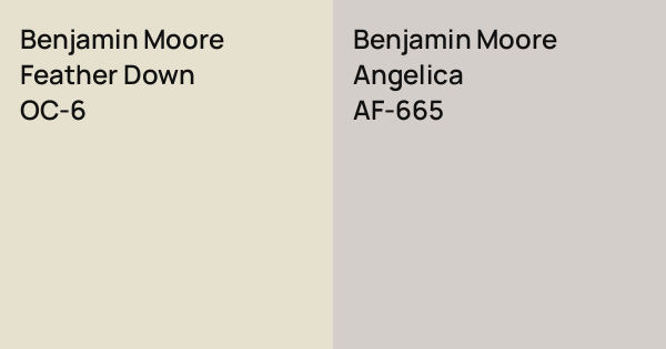 Benjamin Moore Feather Down vs. Benjamin Moore Angelica comparison