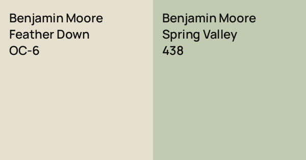 Benjamin Moore Feather Down vs. Benjamin Moore Spring Valley comparison
