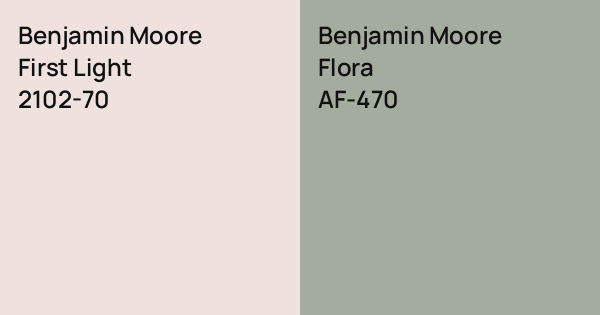 Benjamin Moore First Light vs. Benjamin Moore Flora comparison