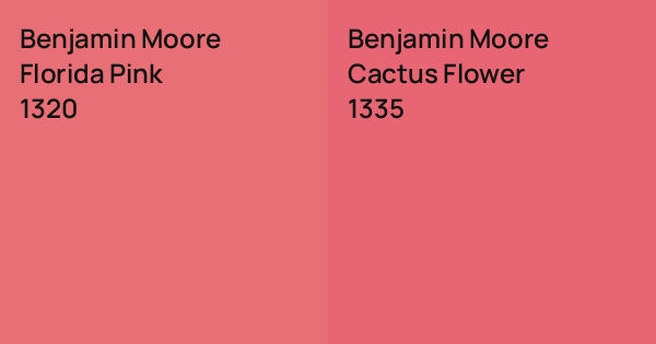 Benjamin Moore Florida Pink vs. Benjamin Moore Cactus Flower comparison