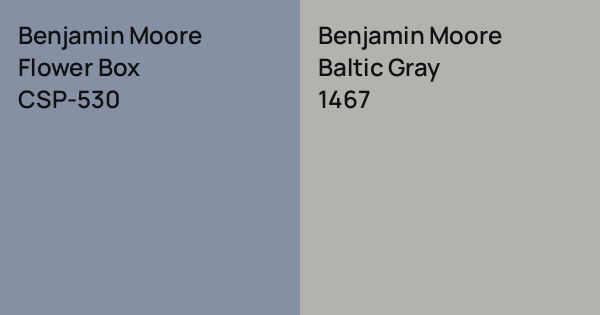 Benjamin Moore Flower Box vs. Benjamin Moore Baltic Gray comparison