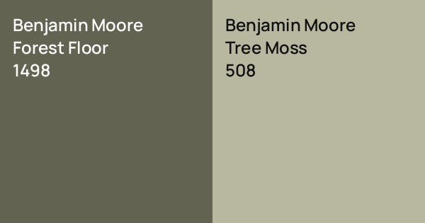 Benjamin Moore Forest Floor vs. Benjamin Moore Tree Moss comparison