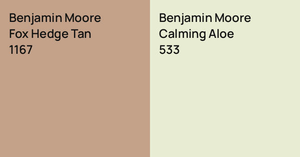 Benjamin Moore Fox Hedge Tan vs. Benjamin Moore Calming Aloe comparison