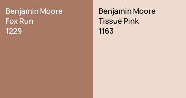 Benjamin Moore Fox Run vs. Benjamin Moore Tissue Pink comparison