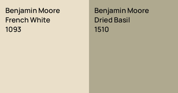 Benjamin Moore French White vs. Benjamin Moore Dried Basil comparison