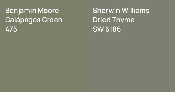 Benjamin Moore Galápagos Green vs. Sherwin Williams Dried Thyme comparison