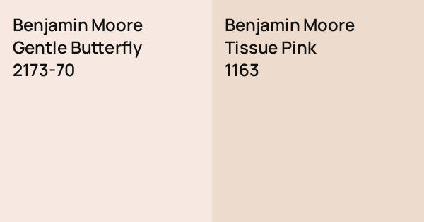 Benjamin Moore Gentle Butterfly vs. Benjamin Moore Tissue Pink comparison