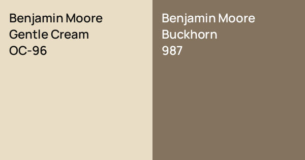 Benjamin Moore Gentle Cream vs. Benjamin Moore Buckhorn comparison